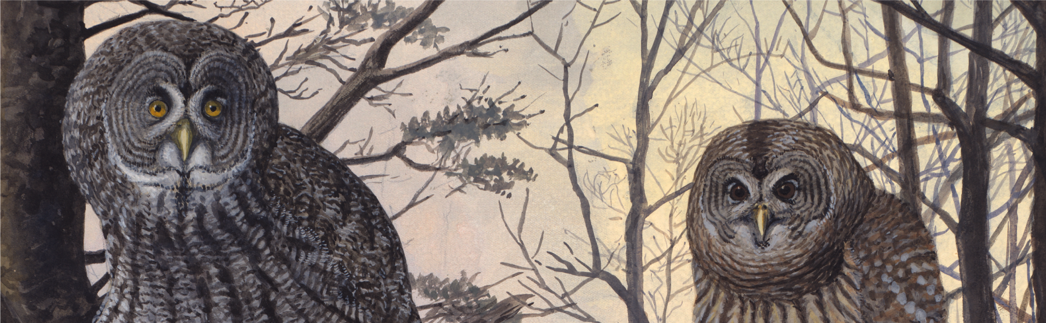 | Massachusetts Archives Digital Repository